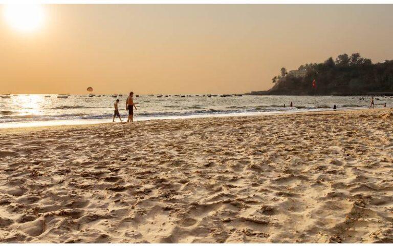 10 Best Beaches in Goa for Nightlife (Party Beaches in Goa)
