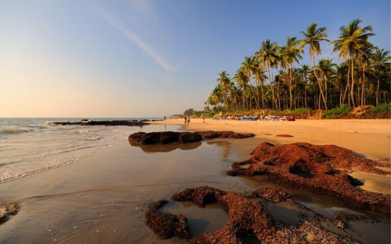 15 Best Beaches in North Goa for a Relaxing Vacation